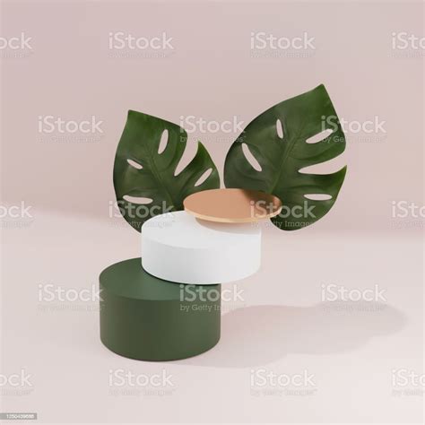 몬스터야자수와 프라이미티브가 돋보이는 3d 디스플레이 포디움 베이지 그린 골드 열대 자연 배경 복사 공간이 있는 실린더 모양 받침대 추상 모형 템플릿 3d 렌더링 3차원