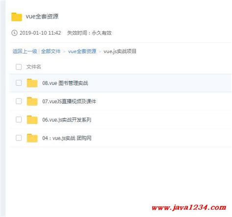 前端vue全套 视频教程 下载 java1234下载
