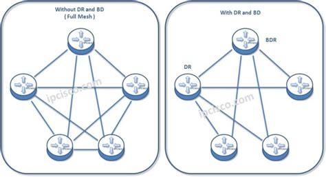 Ospf States Ospf Adjacency Dr And Bdr Election ⋆ Ipcisco Ospf States Ospf Adjacency Dr And Bdr Election ⋆ Ipcisco