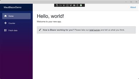 Mauiblazor混合应用开发示例 董川民