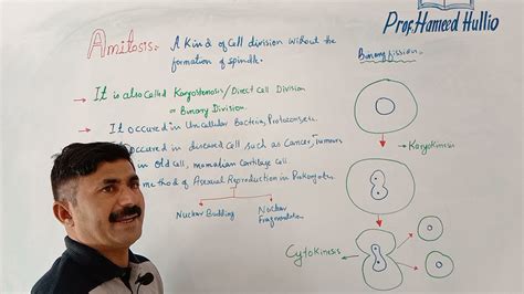 Amitosis Dierect Cell Division Binary Fission Youtube
