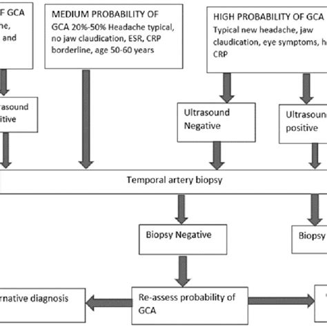 Summary Of Us Studies For Gca Diagnosis Download Scientific Diagram