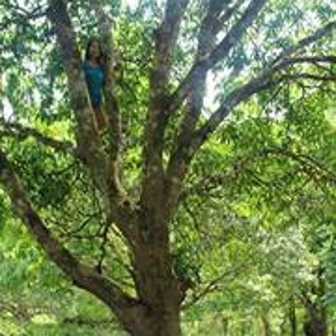 Stream Mitz Music Listen To Songs Albums Playlists For Free On Soundcloud