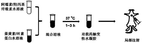 Double Drug Loaded Thixotropic Hydrogel For Tumor Local Treatment And