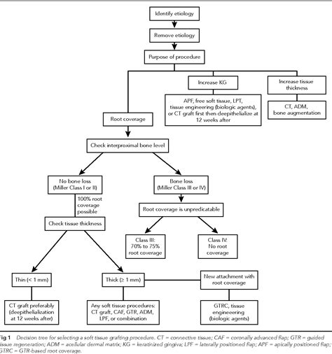 Figure 1 From A Decision Tree For Soft Tissue Grafting Semantic Scholar