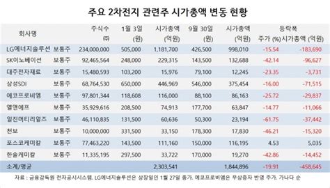 관심주 2차전지 관련주 시총 연초보다 20 내려 글로벌이코노믹