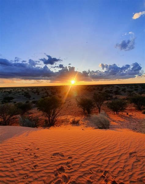 Africa Kalahari Desert
