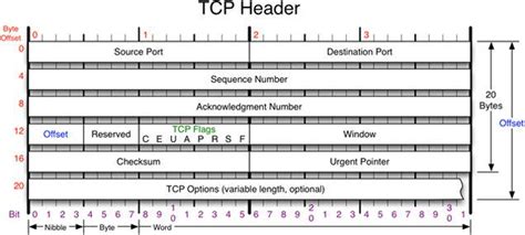 Linux 网络编程——tcp 粘包及其解决方案linux C 语言 Send Tcp黏包 Csdn博客