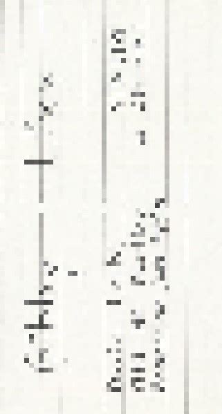 Demo Demo Tape Von Gibby Lixx