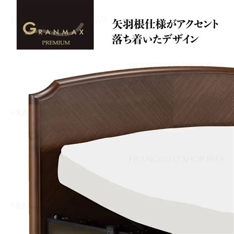 フランスベッド 電動ベッドセット Gx P302f 【公式通販】