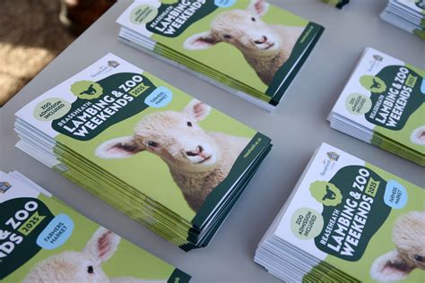 250302 Lambing Weekend March 1 2 24 Reaseheath College