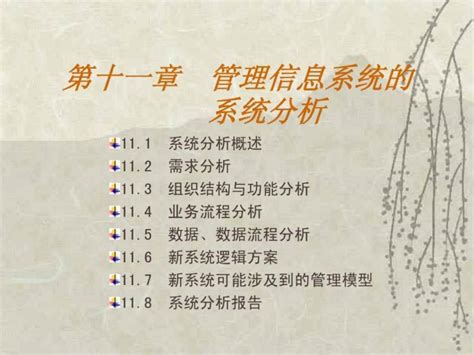 管理信息系统的系统分析 202306051 Ppt 人人文库