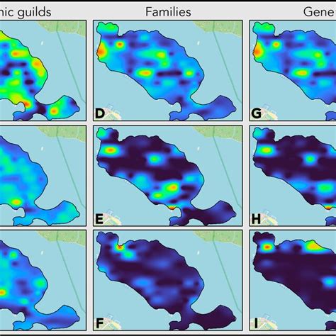 Hierarchically Clustered Spearmans Rank Correlation Matrix Of The Soil