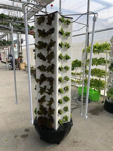 Vertical Aeroponic Grow Tower Efficient Indoor Farming