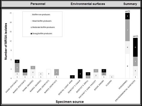 Population Structure Of The Tested Mrsa Isolates N 34 Based On Burp Download Scientific