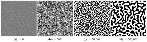 The Patterned Dynamics Of Cahn Hilliard Model In Equation 2 Solved Download Scientific