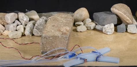 meet the soft robots that can amputate limbs and fuse with other robots