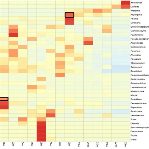 Heatmap Depicting Relative Species Abundance Plotted By Sample Name On
