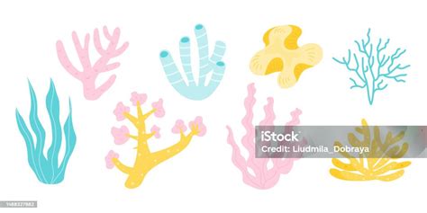 다양한 종류의 산호초 조류 및 해초 만화 삽화 수중 산호초와 다시마가 손으로 그린 낙서 스타일입니다 해양 수족관 식물 그림입니다 벡터 세트 0명에 대한 스톡 벡터 아트 및