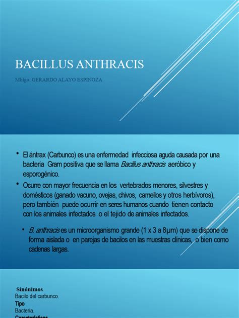 Bacillus Anthracis Descargar Gratis Pdf Ántrax Bacilo
