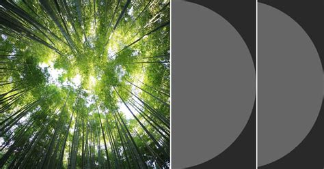 List Optimization Curated By Rajiv Dey Medium