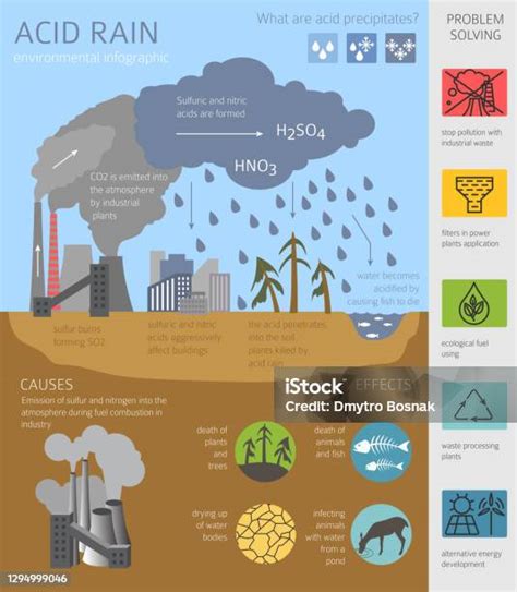 Acid Rain Formation Flow Chart