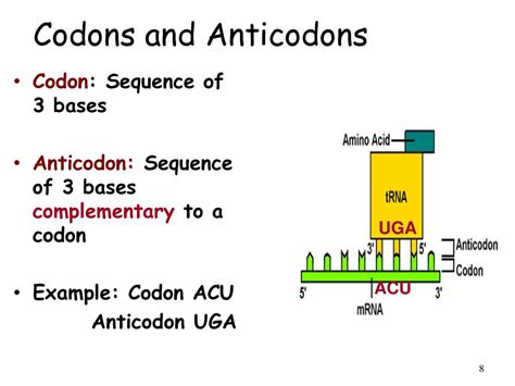 Bla Biology June 6th Ppt Download