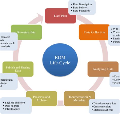 Research Data Management Lifecycle Martin Cadiou And Jannès Ober 2017 Download Scientific