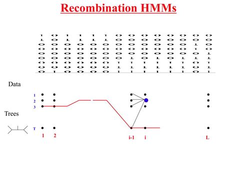 Ppt Hidden Markov Models In Bioinformatics Powerpoint Presentation Free Download Id6528445