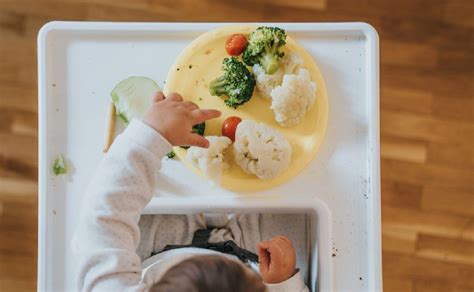 Alimentación Complementaria Todo Lo Que Debes Conocer Para Una