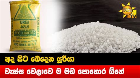 අද සිට බෙදෙන යූරියා වැස්ස වෙලාවෙ ම මඩ පොහොර ඕනේ Hiru News Youtube