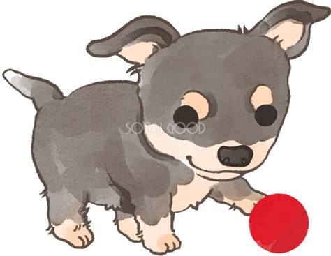 チワワ子犬ボールで遊ぶかわいい犬の無料イラスト70523 素材good