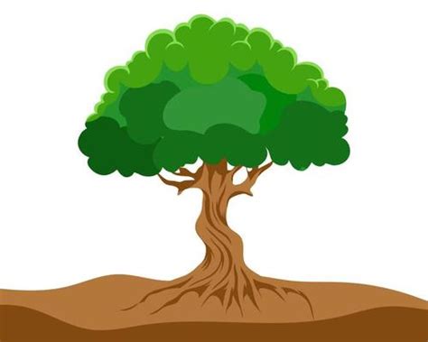 Simple Tree Vector Art Icons And Graphics For Free Download