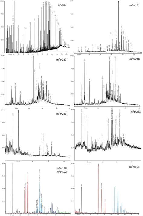 8 Overview Of Gc Fid And Gc Ms Chromatograms For Oil Sample O From