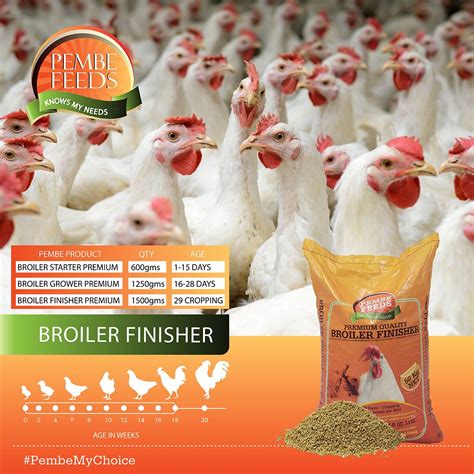Pembe Zambia Pembe Feeds Has A Holistic Approach In Facebook