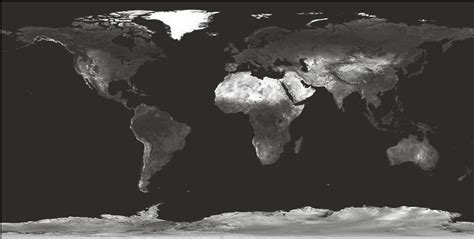 The Allele Frequency Net Database Hla Haplotype Frequency Distribution