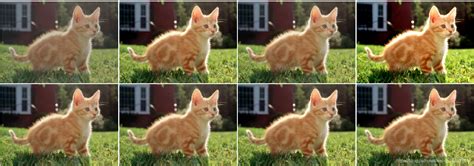 Pytorch五：图像增广image Augmentationimage Augmentation Scale Csdn博客