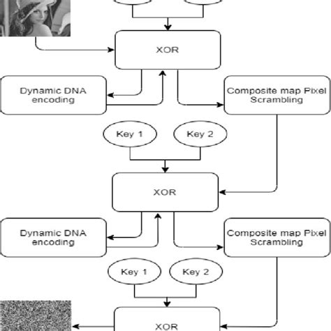 pdf image encryption using dynamic dna encoding and pixel scrambling