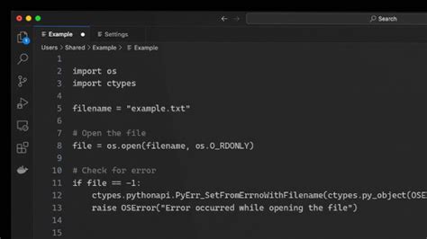 Basic Example Of Valueerror In Python