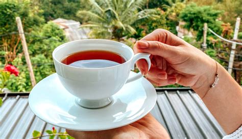 Sips Of Ceylon Top 8 Sri Lankan Drinks You Should Try