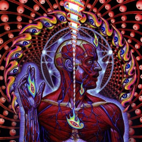 Tool Best Ever Albums