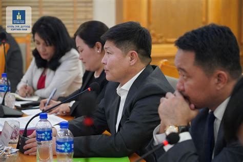 Бүх нийтийн эрх зүйн боловсролыг дээшлүүлэх Үндэсний зөвлөлийн Vi