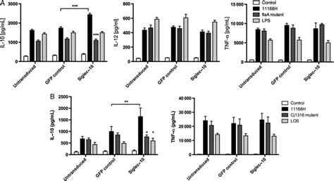Siglec 10 Receptor Overexpression Promotes Il 10 Expression In Response Download Scientific