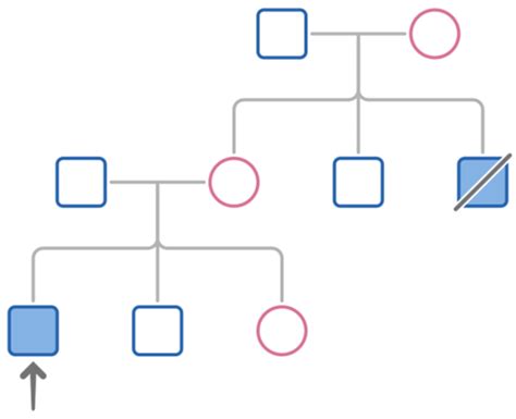 Usmle® Step 1 Question Of The Day Inheritance Patterns Osmosis Blog