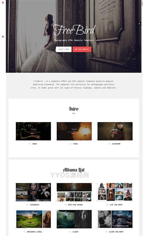 摄影作品展示网站模板 Yyds源码网