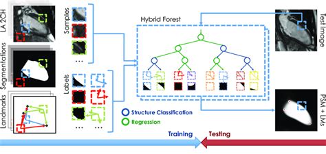 Hybrid Random Forest During Training Randomly Extracted Samples With