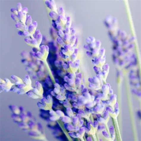 What Does It Indicating If There Is Positive Correlation But Negative Regression Coefficient