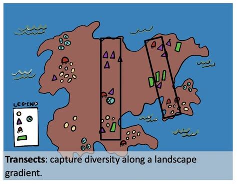 Measuring Biodiversity Methods And Calculations Flashcards Quizlet