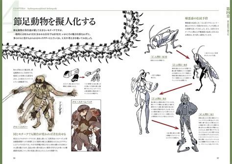 绘画素材福瑞控狂喜毛绒绒的兽人参考教程分享 每日讲画 站酷ZCOOL