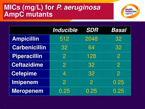 Ppt Ampc B Lactamases And Their Detection Powerpoint Presentation Id